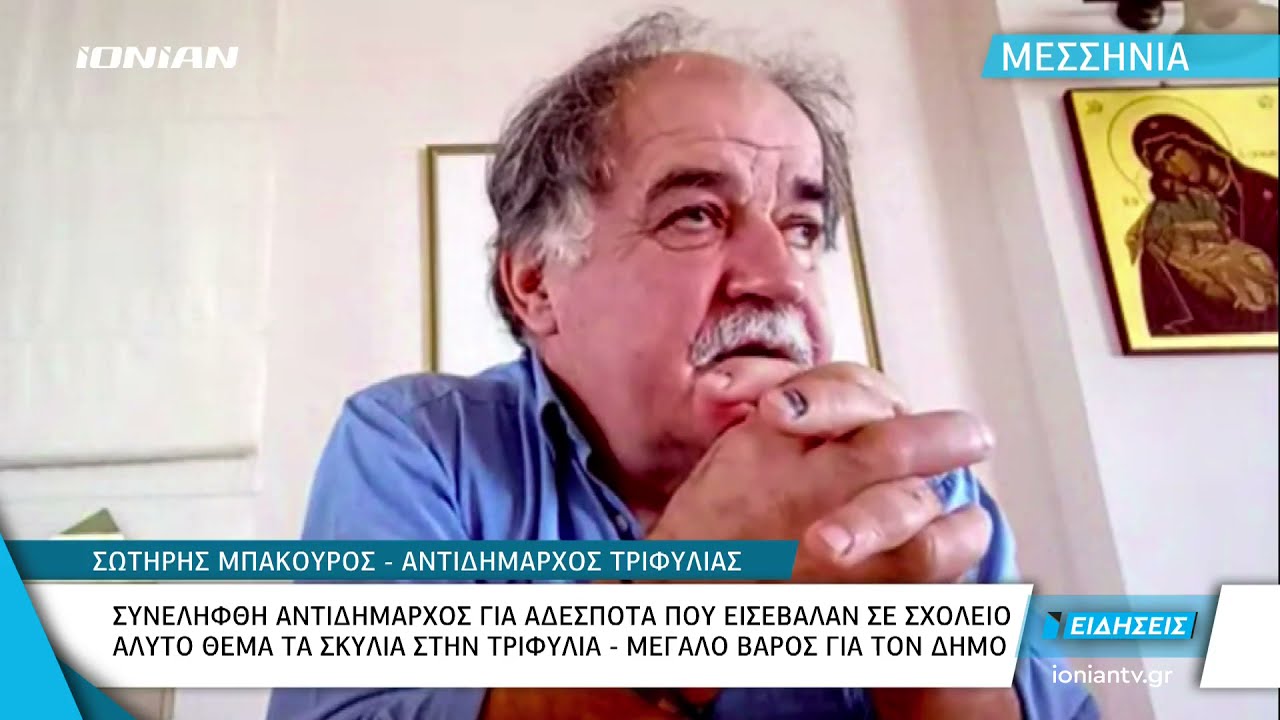 Τριφυλία | Συνελήφθη Αντιδήμαρχος για αδέσποτα που εισέβαλαν σε σχολείο ...