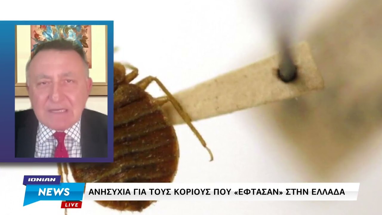 Ανησυχία και στην Ελλάδα για τους κοριούς - Πως να τους εξολοθρεύσουμε ...