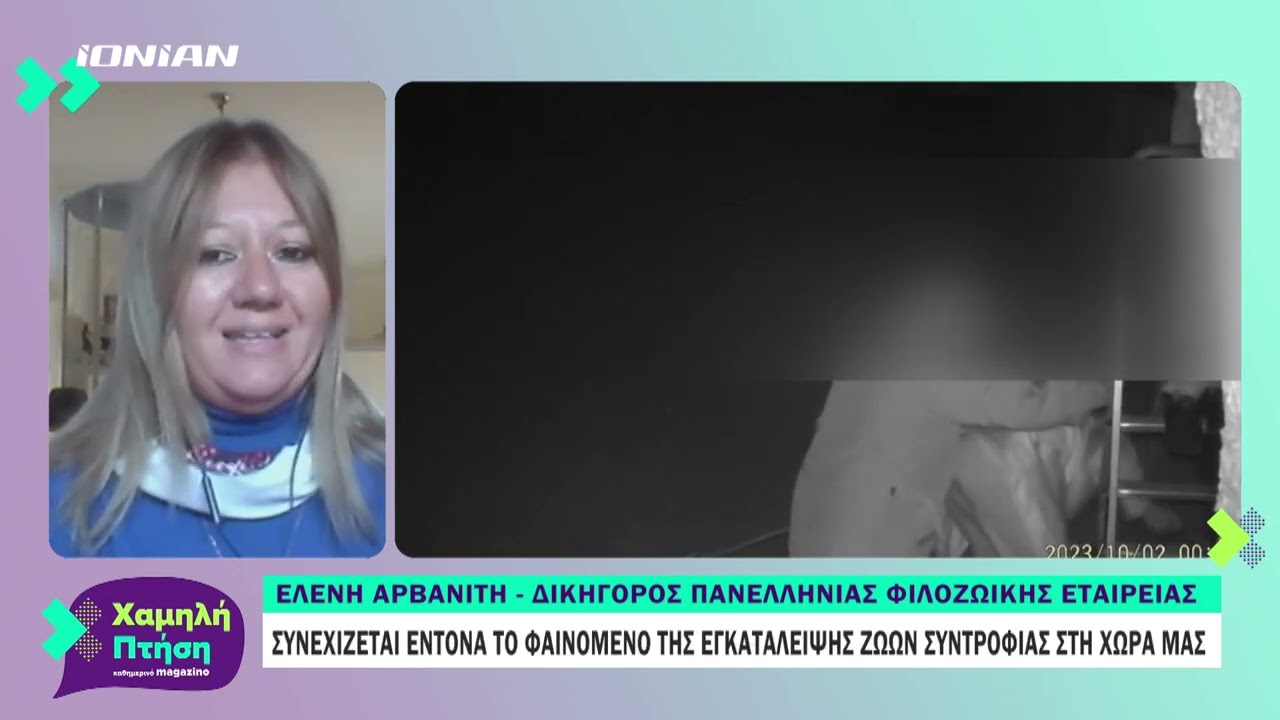 Ξεφορτώθηκαν 23 αδέσποτα με βάναυσο τρόπο στην Κέρκυρα - Ionian TV