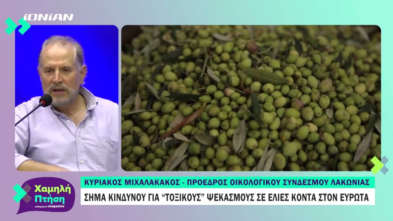 Σήμα κινδύνου για «τοξικούς» ψεκασμούς σε ελιές κοντά στον Ευρώτα ...