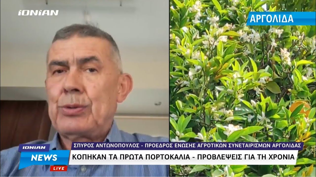 Διπλασιάστηκαν οι τιμές στα πορτοκάλια - Ionian TV
