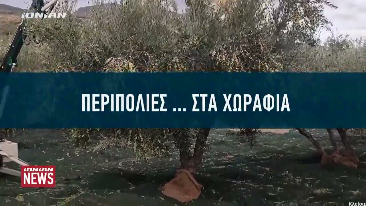 Κάνουν περιπολίες για να μην τους κλέψουν τον καρπό - Ionian TV
