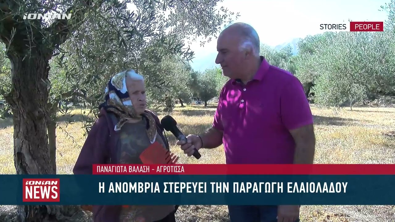 Η ανομβρία στερεύει την παραγωγή ελαιολάδου στην Λακωνία - Ionian TV