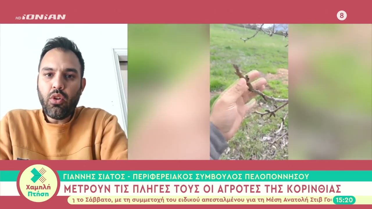 Ο ΕΛΓΑ δεν αποζημιώνει τις καταστροφές από το χαλάζι στην Κορινθία ...