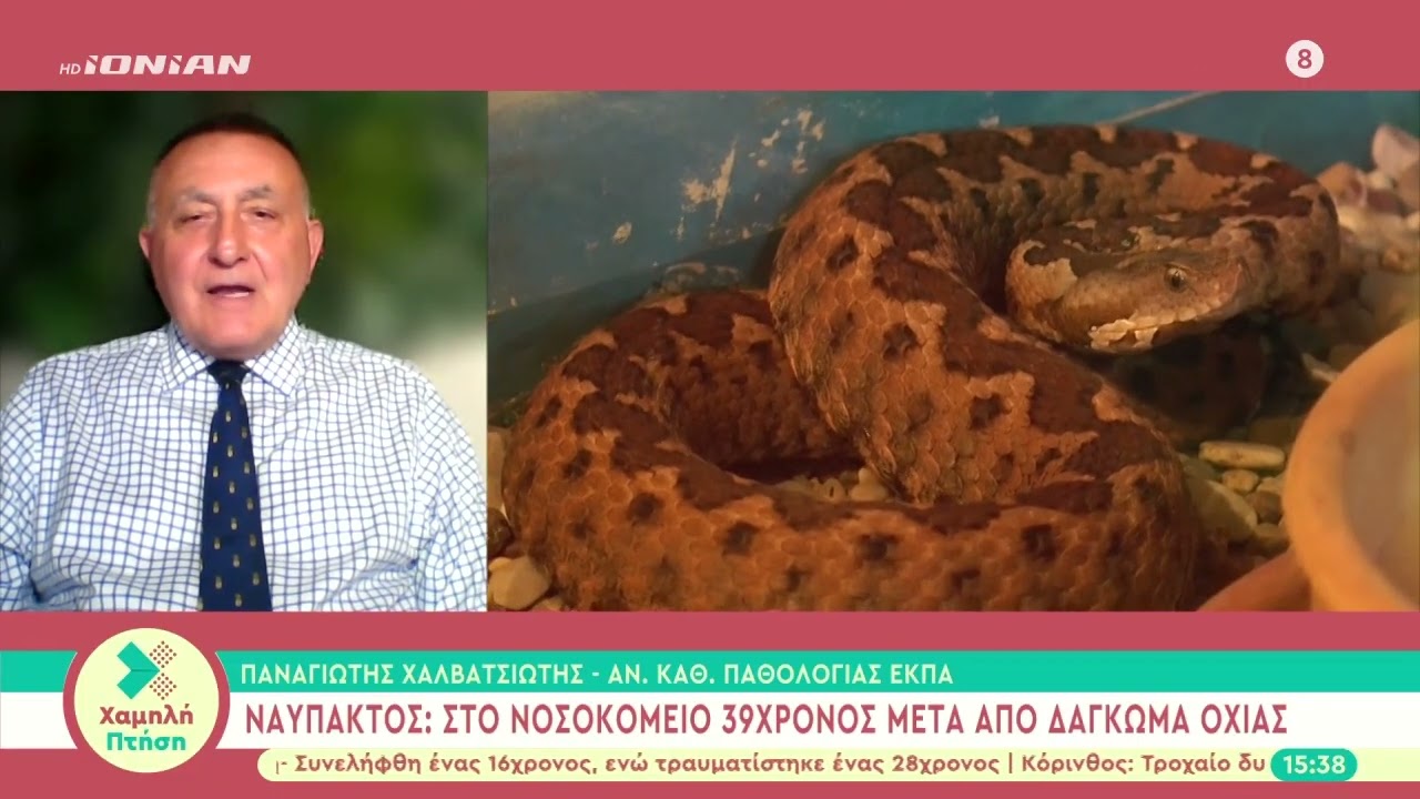 Στο νοσοκομείο 39χρονος στη Ναύπακτο μετά από δάγκωμα οχιάς - Ionian TV