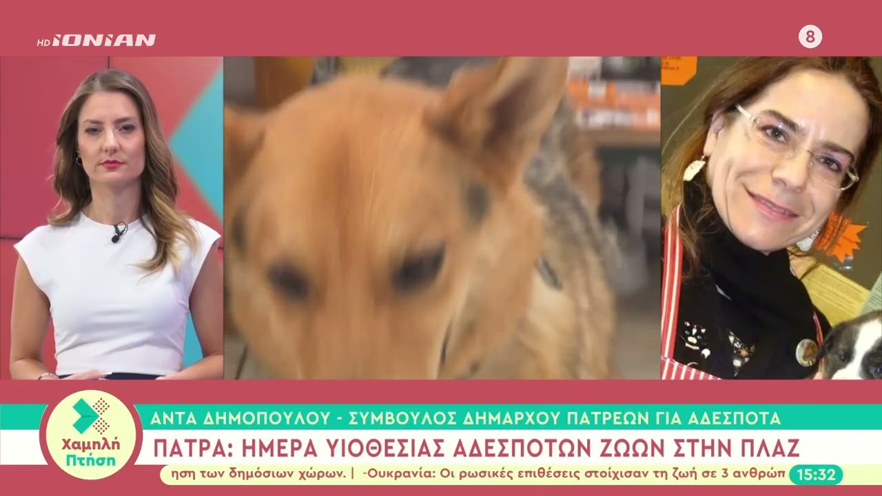 Ημέρα υιοθεσίας αδέσπoτων ζώων στην Πλαζ της Πάτρας - Ionian TV