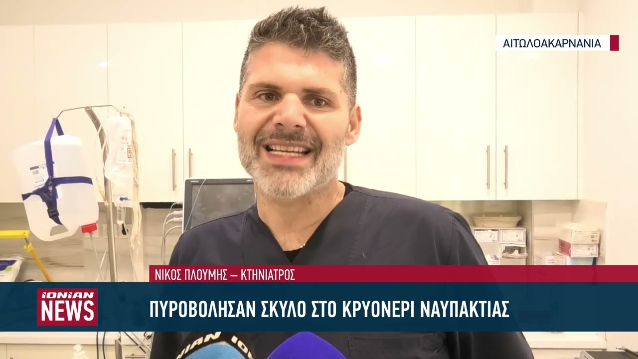 Πυροβόλησαν σκύλο στο Κρυονέρι Ναυπακτίας - Ionian TV