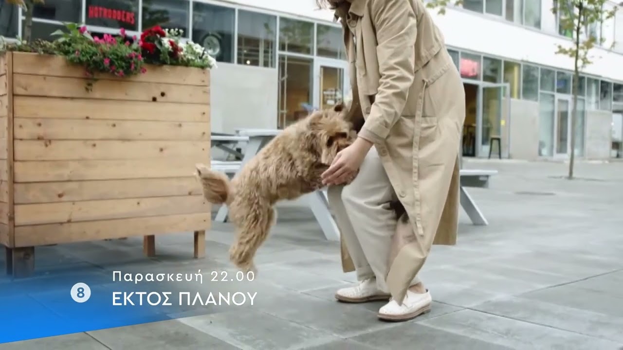 Δείτε στο «Εκτός Πλάνου» | Άνθρωποι και κατοίκιδια - Παρασκευή 19 ...